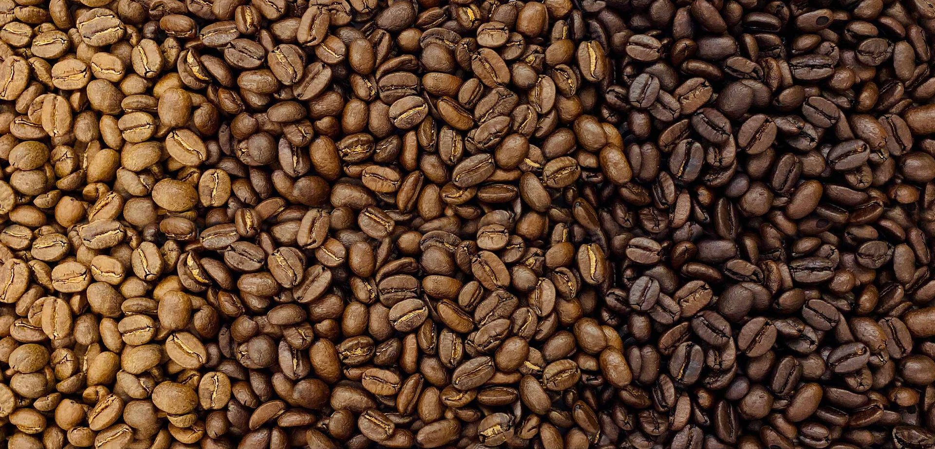 What is the Difference Between Light, Medium, and Dark Roast Coffee ...